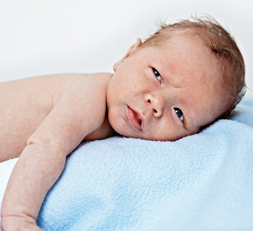 Learning the Secrets of Baby Behavior | WIC Resources