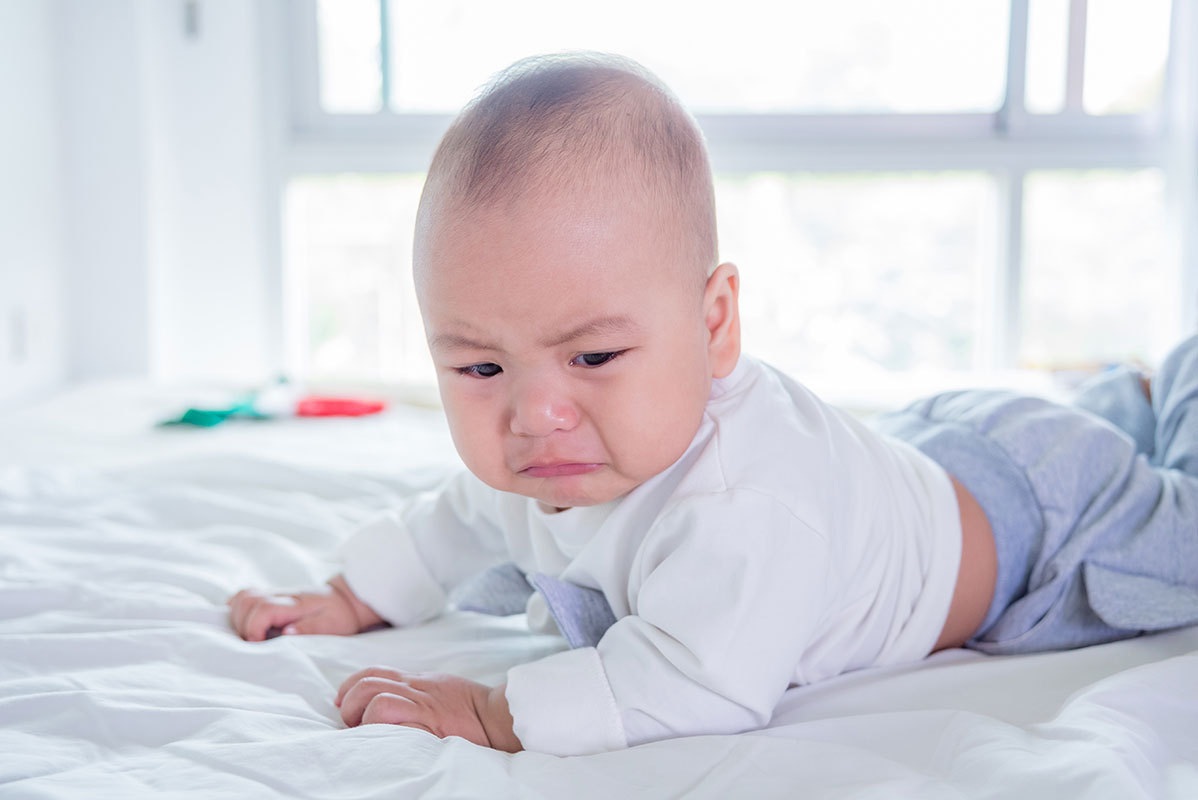 Cracking the Baby Face Code | WIC Resources
